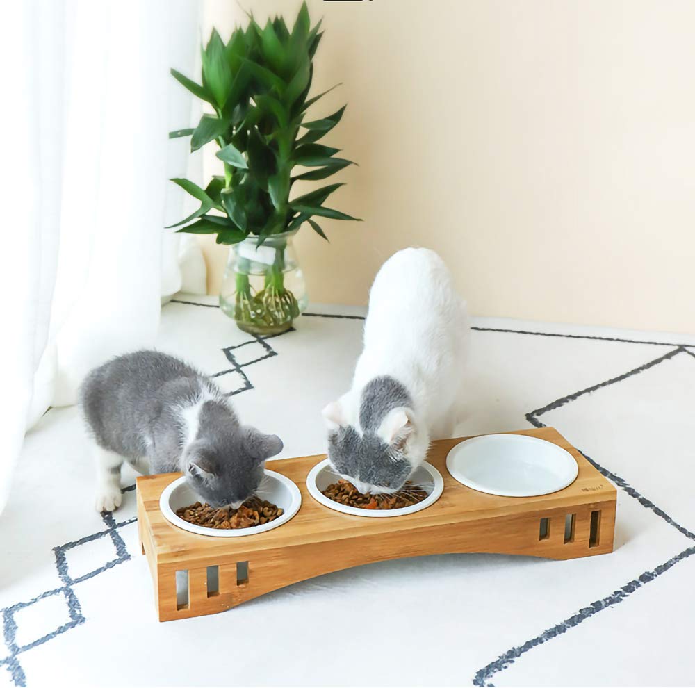 Ika Omnis Elevated Dog Cat Bowl Pet Ceremic Food and Water Bowl - Raised Bamboo Stand Dishes Feeder Bowl for Small/Medium Puppy Kitten
