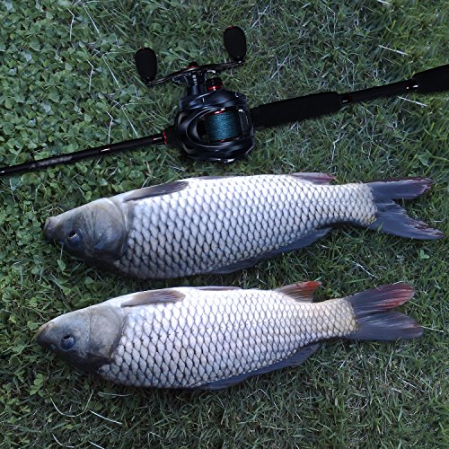 Goture Ares-Max Baitcasting Fishing Reel 22LB Carbon Fiber Drag, 6.3:1 Low Profile Baitcaster Reel with Magnetic Brake System10+1 Shielded Bearings (Left Handle with Cork Knob)