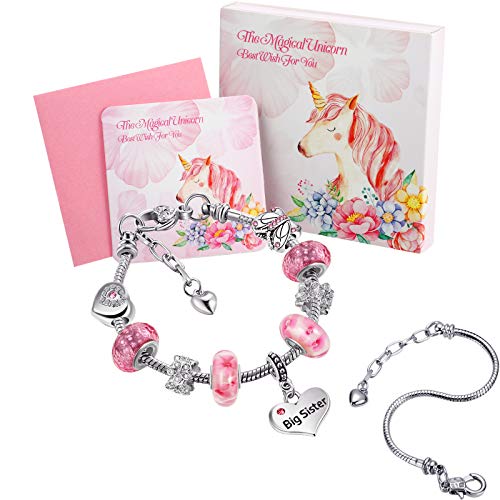 Hicarer Big Sis Gift Shiny Bracelet Crystal Charm Bangle Jewelry Wristband with Gift Box Set for Hers Lady(Pink Butterfly)