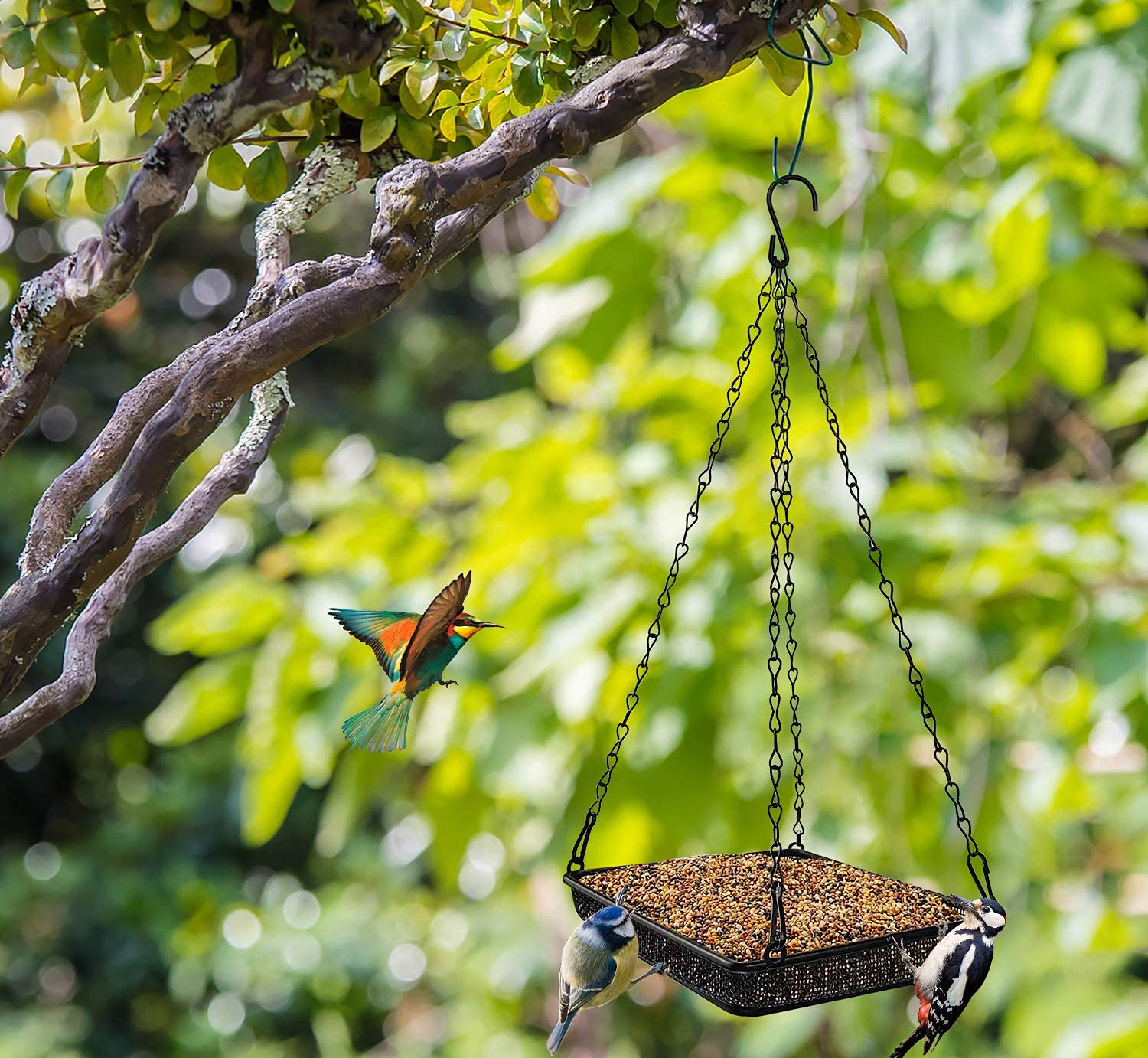 MIXXIDEA Hanging Bird Feeder Tray Metal Mesh Platform Seed Feeder with Durable Chains for Outdoors Garden Great for Attracting Birds (1 Pack)