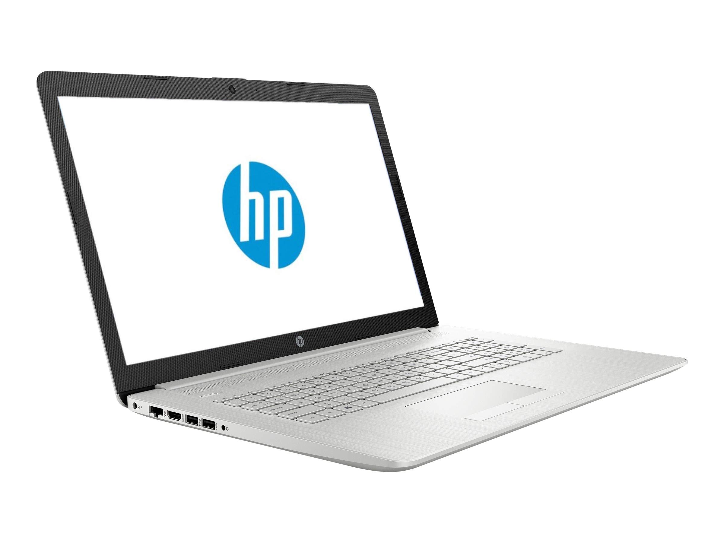 HP 17 Business Laptop - Linux Mint Cinnamon - Intel Quad-Core i5-10210U, 32GB RAM, 1TB HDD, 17.3" Inch HD+ (1600x900) Display