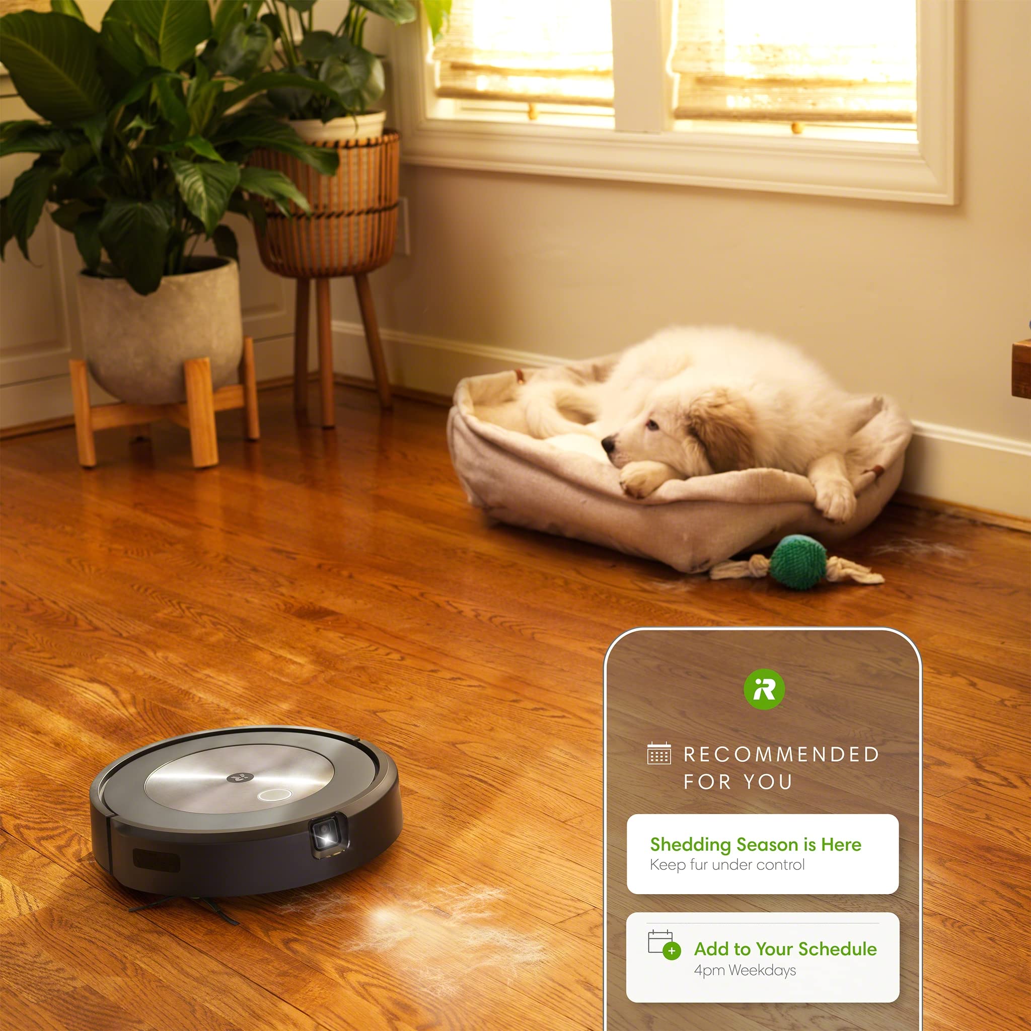 iRobot j7+ (j7 Plus) 7550 Self-Emptying Robot Vacuum Cleaner Bundle - Identifies and Avoids Obstacles Like Pet Waste & Cords, Smart Mapping (+2 AllergenLock Dirt Disposal Bags)
