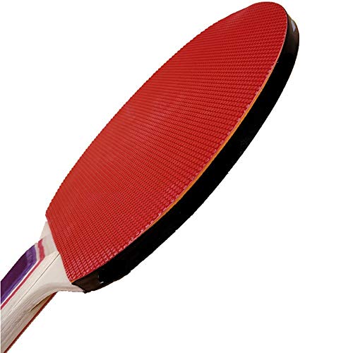 Hewen-Ping Pong Set Beginner Level Table Tennis Racket Pingpong Paddle Ping Pong Bat Set with 2 Rackets, 4 Balls Table Tennis Bat