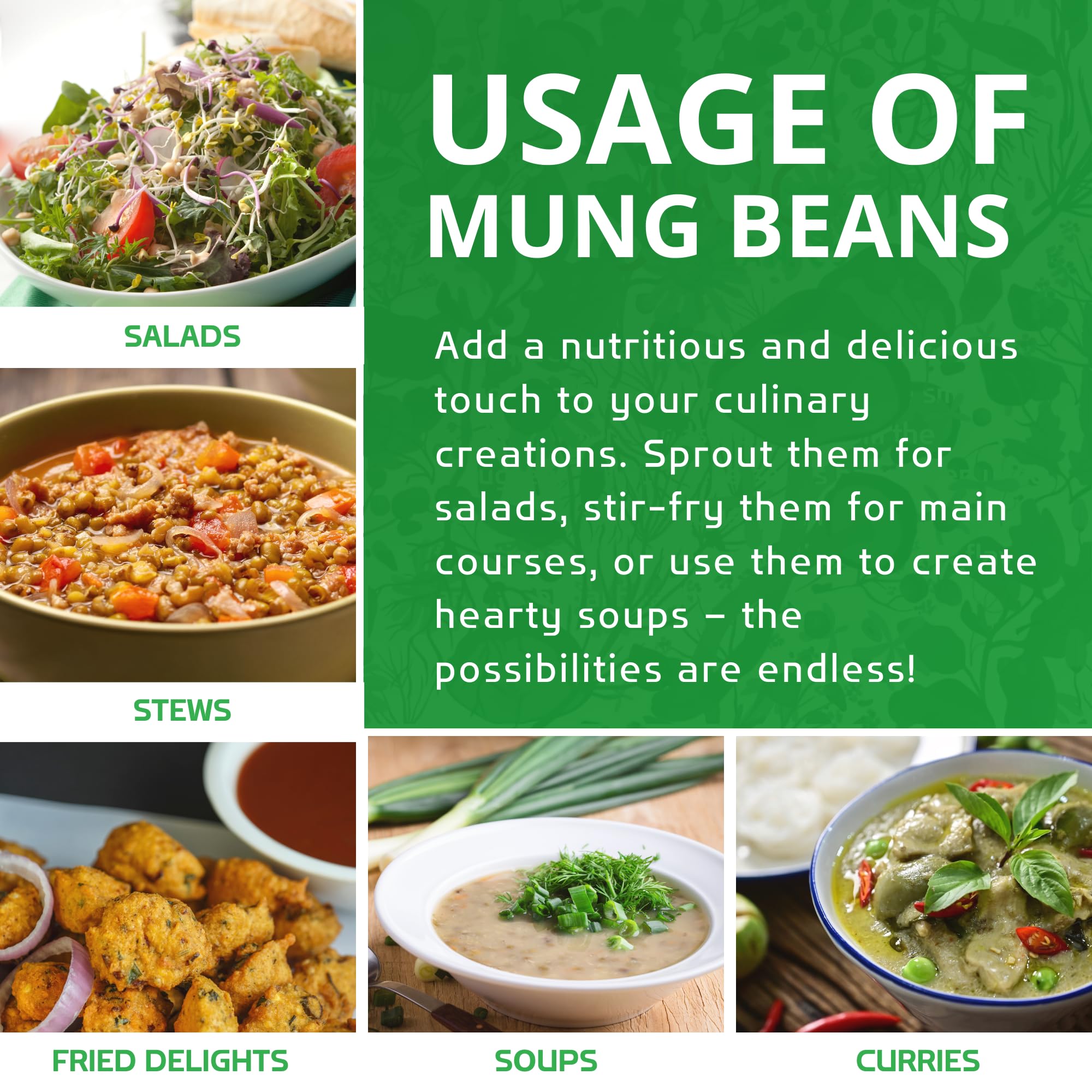 Jiva Organic Mung Bean - Mung Moong Beens Whole for Sprouting and Cooking - 2 lb Bean Bag – Indian Spices