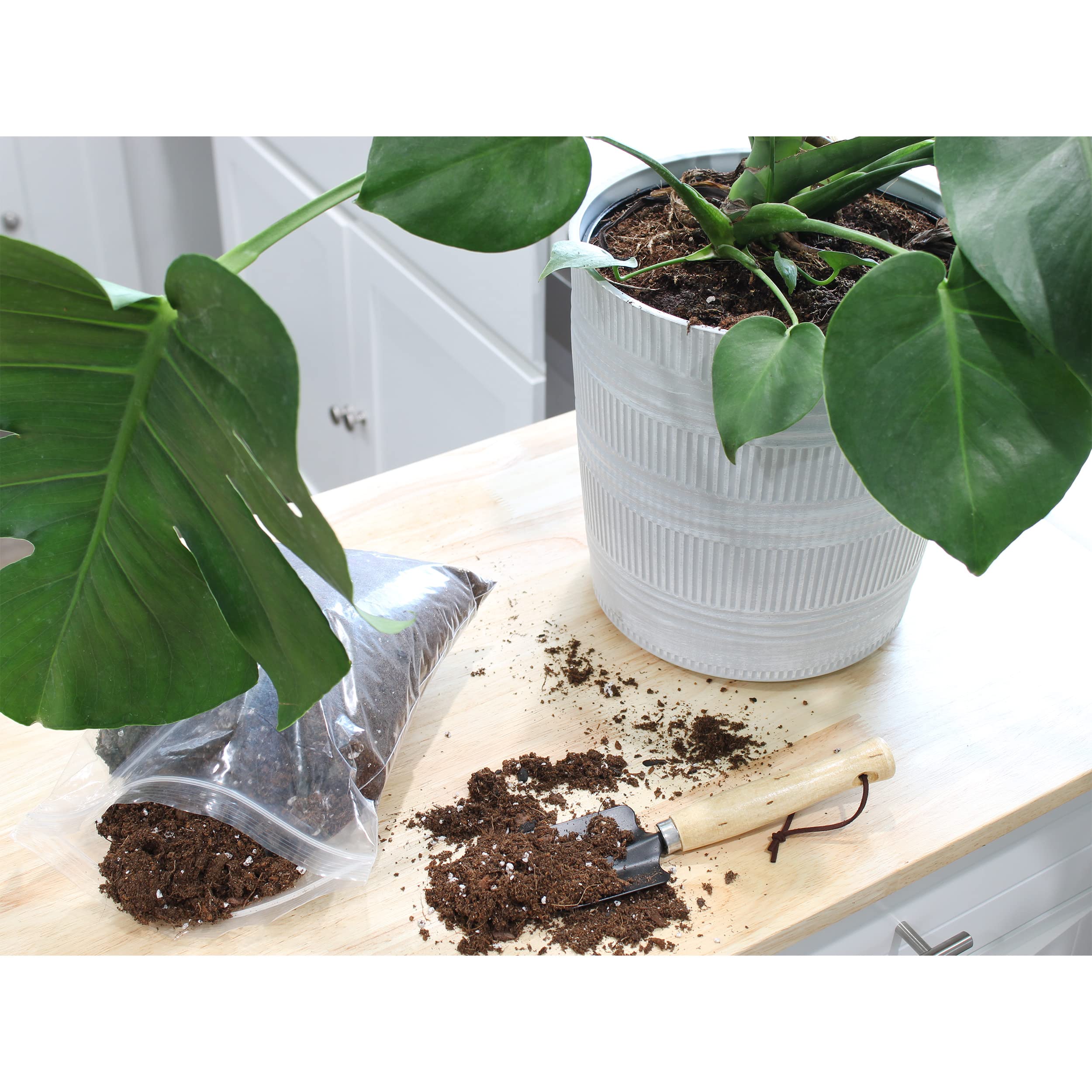 Monstera Houseplant Potting Soil Mix (8 Quarts), Custom Blend for Growing and Repotting