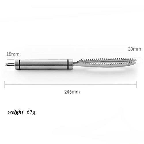 Home·FSN Fish Scaler Remover with Bone Tweezer and Shrimp Deveiner Tool, 4 Pieces Stainless Steel Kitchen Tool