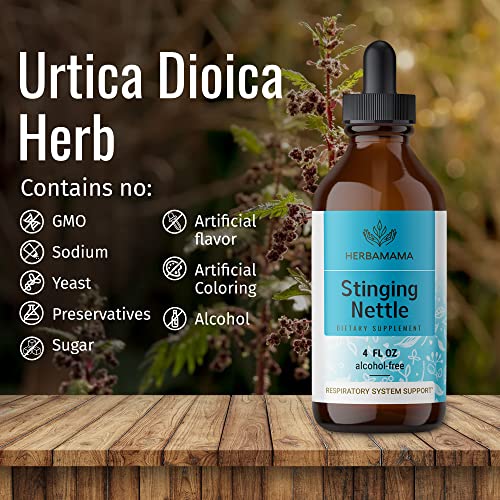 HERBAMAMA Stinging Nettle Root Tincture - Organic Stinging Nettle Root Liquid Extract - Urtica Dioica Herbal Drops Supplement - 4 fl oz