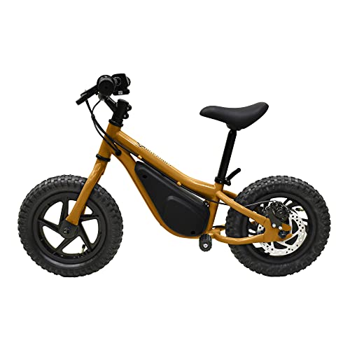 Massimo Motor E-11 Electric Bike for Kids 150 Watt, Age 3-8 yrs, 12in Wheels, Throttle Accelerate Adjustable Seat (Orange)