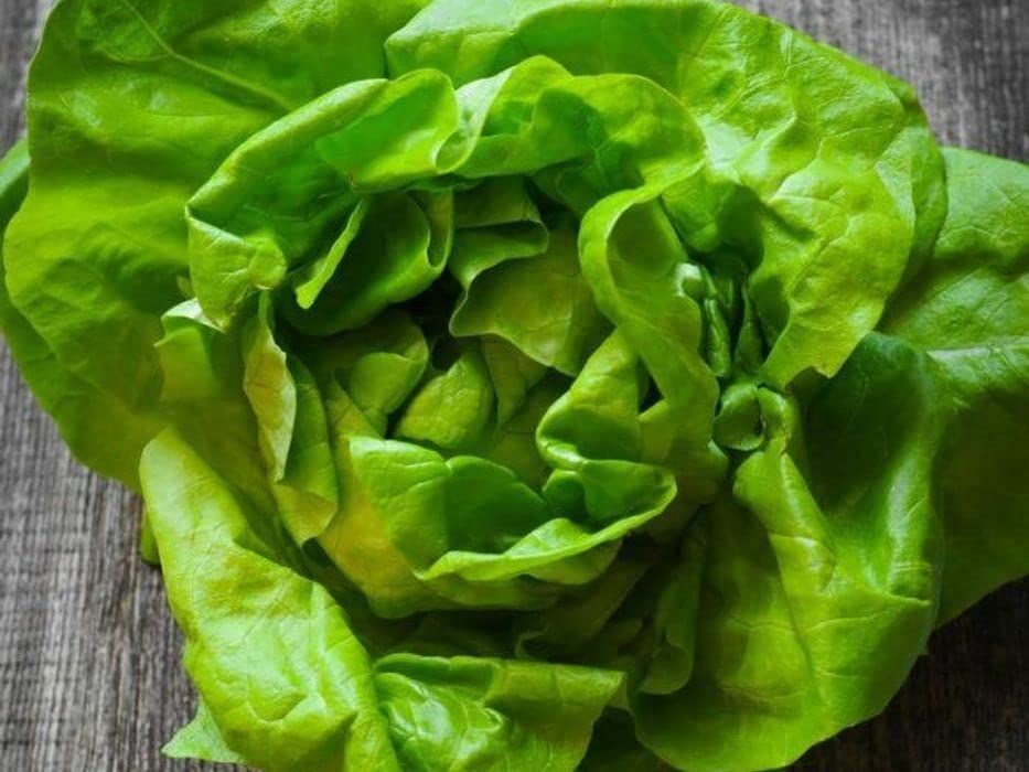 Lettuce Tom Thumb