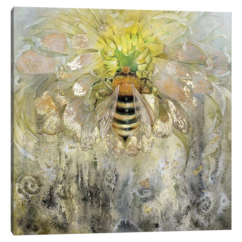 iCanvas SLW18 Bee Canvas Print by Stephanie Law, 18" x 18" x 0.75" Depth Gallery Wrapped