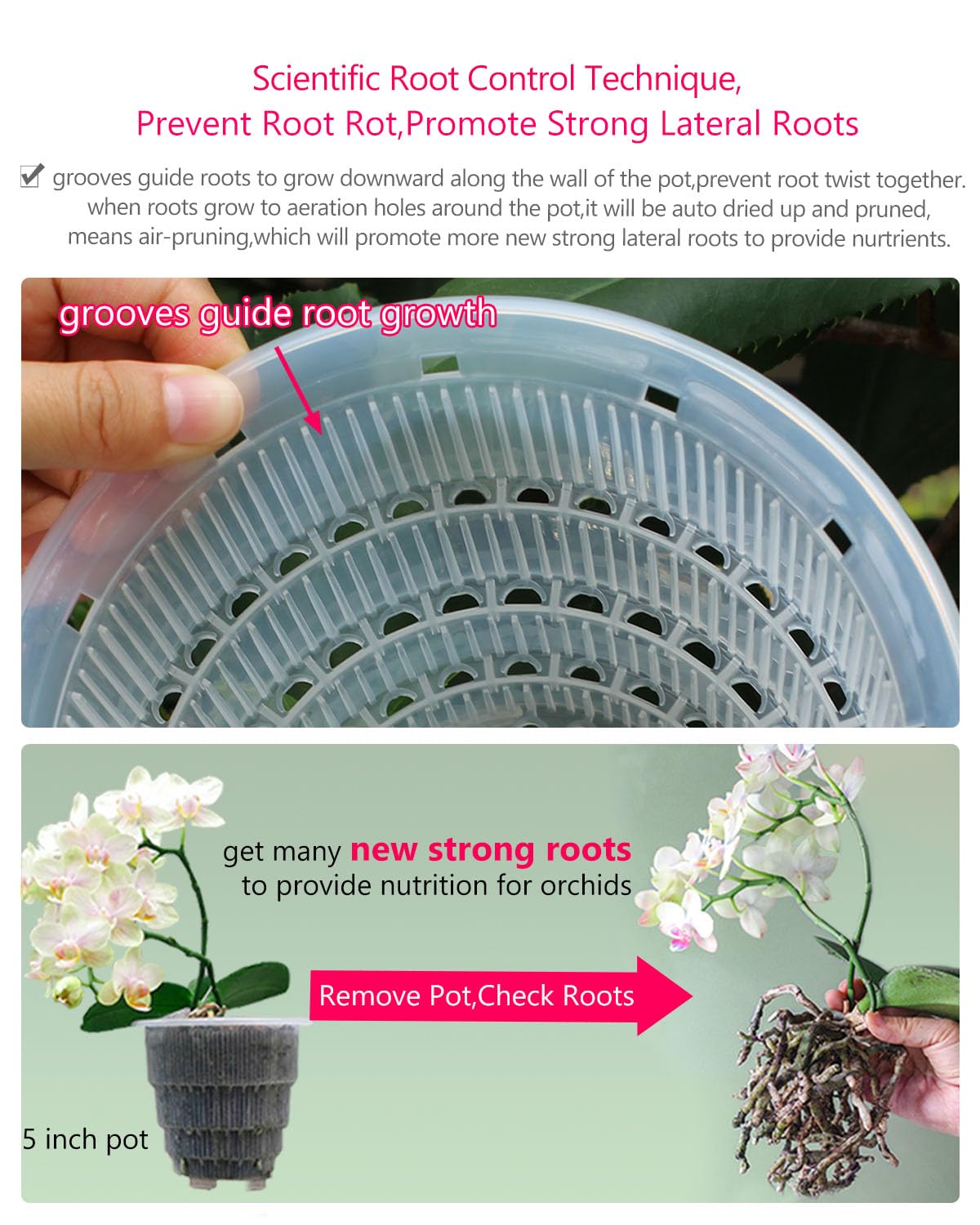 Meshpot 6 inch Orchid Pots with Holes,Set of 2,Double Layer Plastic Imitate Ceramic Orchid Planter Provide Good Air Circulation,Clear Orchid Pot Match Decorative Orchid Container