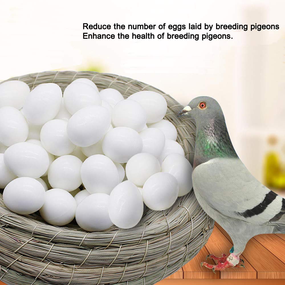 Huwaimi 13g Solid Plastic Eggs Dummy Eggs for Racing Pigeons (White 42pcs)