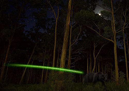 LEANPRO 6 PCS X Lighted Nocks for Arrows with .204".233".244" .246" Inside Diameter Lighted Arrow Nocks (Green)