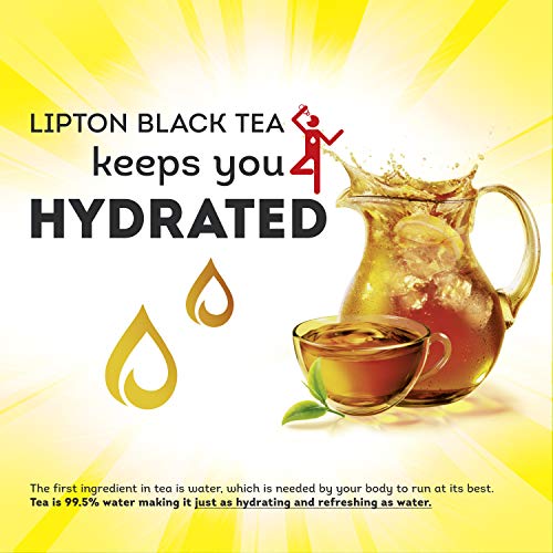 Lipton Cold Brew Iced Tea Bags, Family Size, 22 Count