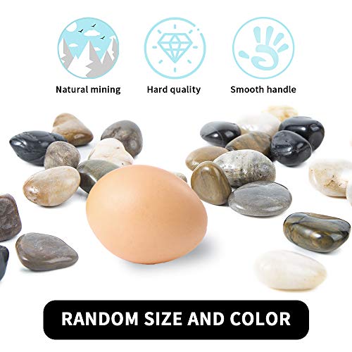 OUPENG Pebbles Polished Gravel, Natural Polished Mixed Color Stones, Small Decorative River Rock Stones 5 Pounds (80-Oz)