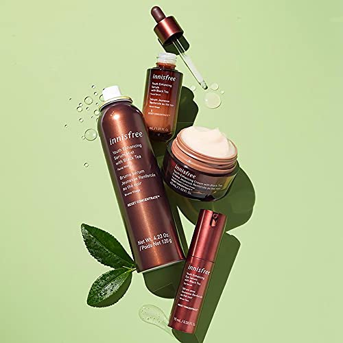 innisfree Youth Enhancing Cream with Black Tea Hyaluronic Acid Face Moisturizer