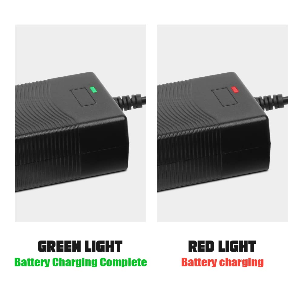 H HAILONG 29.4V 2A Lithium ion Battery Charger for 25.2V 25.9V 24V Battery with 2 Plugs (8mm 3-Prong and DC 5.5 x 2.1 mm Plug)