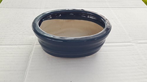 Oval blue Ceramic Bonsai Pot - Japanese Houtoku Brand - 5'' L / 4'' W / 2'' H