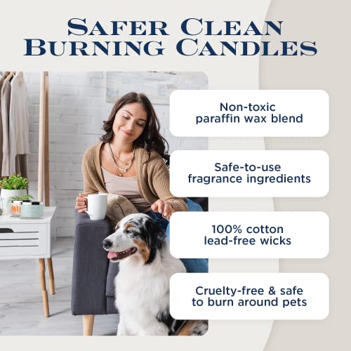 Premium Scented 4-Wick Candle, Fall Farmstand, HomeWorx by Slatkin & Co - 18 oz - Long-Lasting Jar Candle, 30-55 Hours Burn Time - Sugared Honeycrisp Apple, Golden Pear, Vanilla & Wildflower Honey