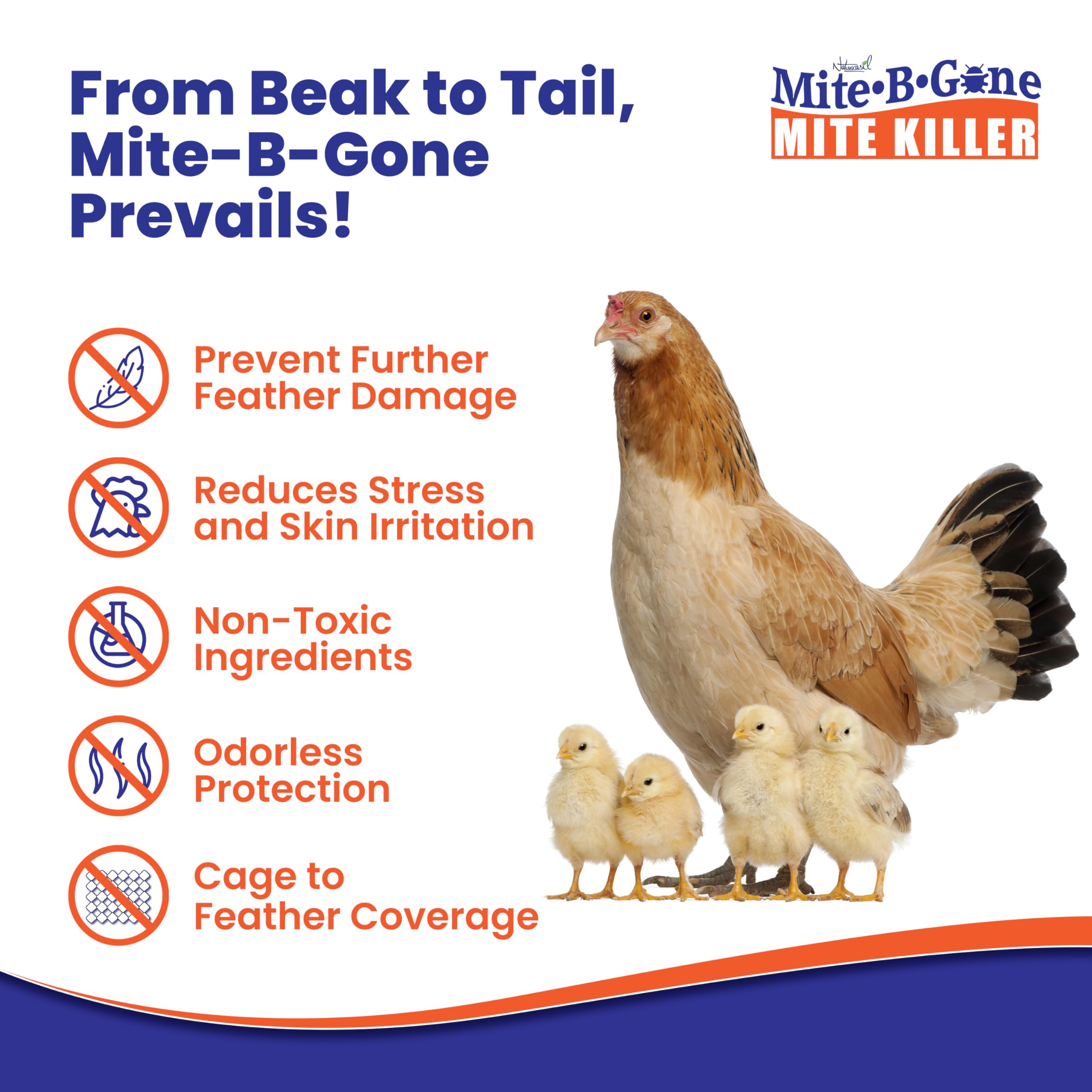 Mite Killer Spray by Mite-B-Gone β Kills Human Mites, Bird, Dust, Spider, Rat, Turkey, Carpet Mites. Treatment for Homes, Furniture, Bedding, Auto & Animals | Non-Toxic | Kid & Pet Safe | 16oz Spray
