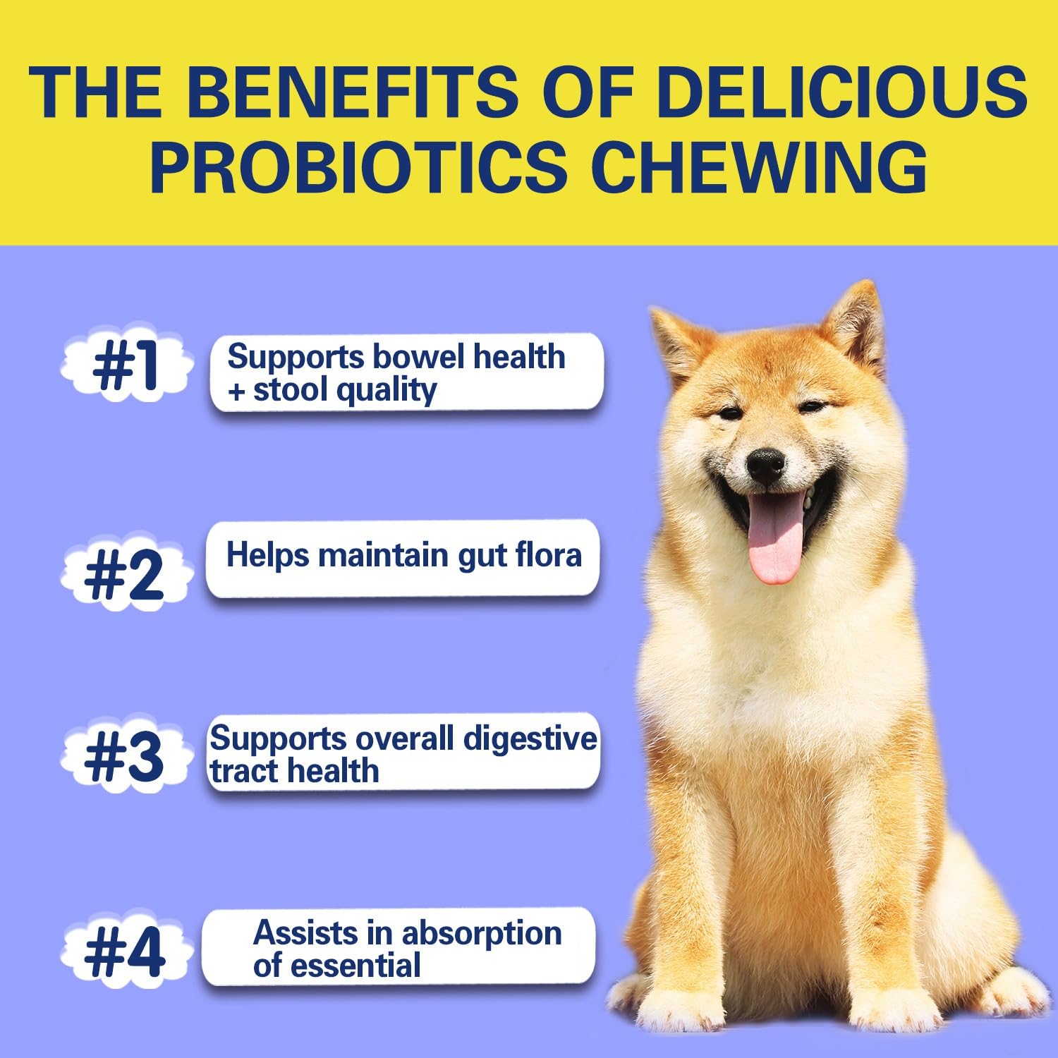 SMASUPT Probiotic Chews for Dogs, 120 Soft Chews, 10.58 oz, Gut Health, Digestive Health, Immune System