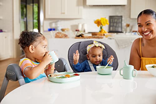 NUK Silicone Baby Suction Plates, Durable Suction Feature Helps Reduce Spills, Microwave & Dishwasher Safe, BPA-Free, Pack of 2