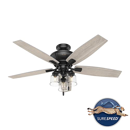 Hunter Fan Company 50403 Charlotte Ceiling Fan, 52, Matte Black Finish