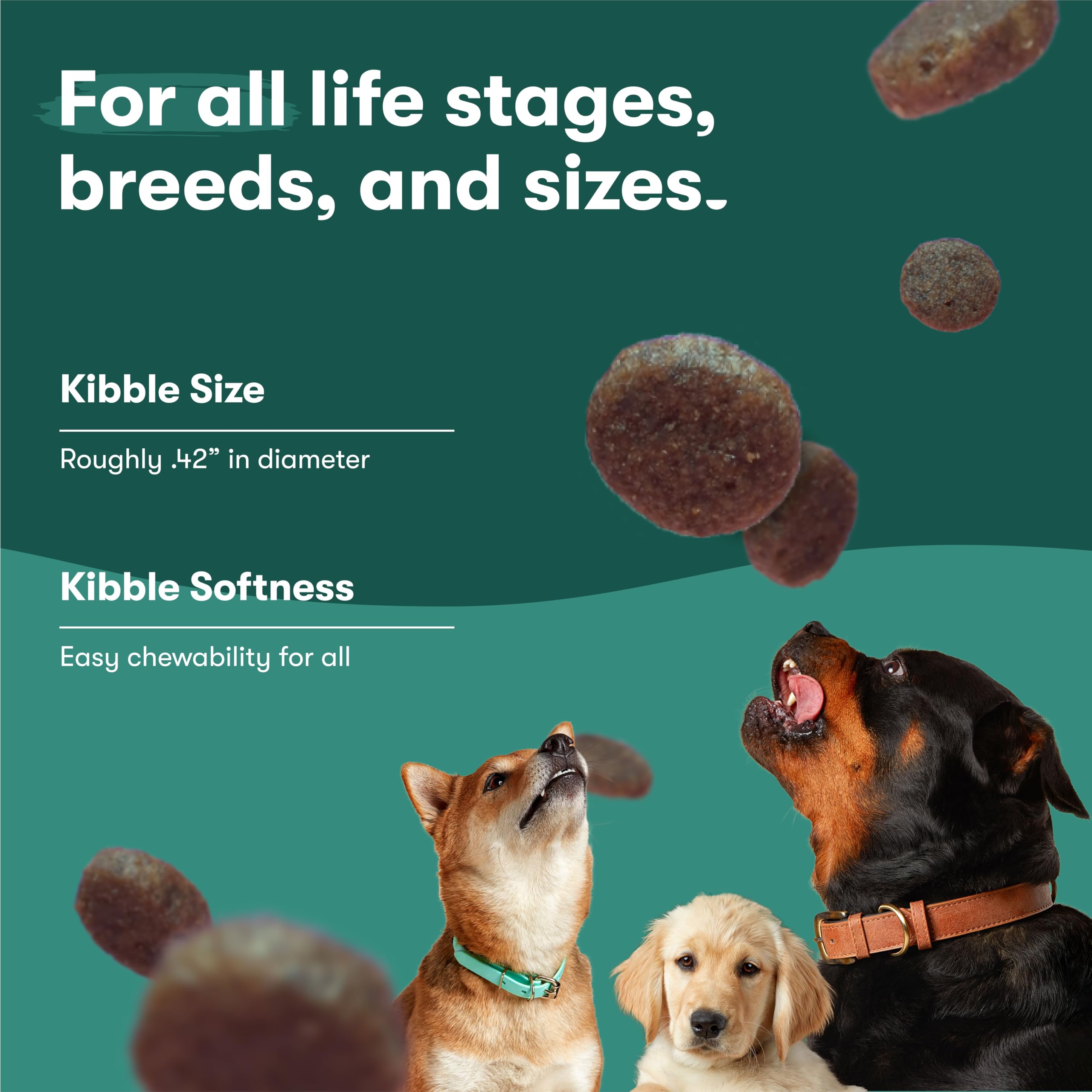 Salmon, Sweet Potato & Carrot Dry Dog Food, Grain Free, High Protein, All Natural, Promotes Healthy Joints, Coat & Immune Function, No Artificial Fillers, 4 Lb. Bag