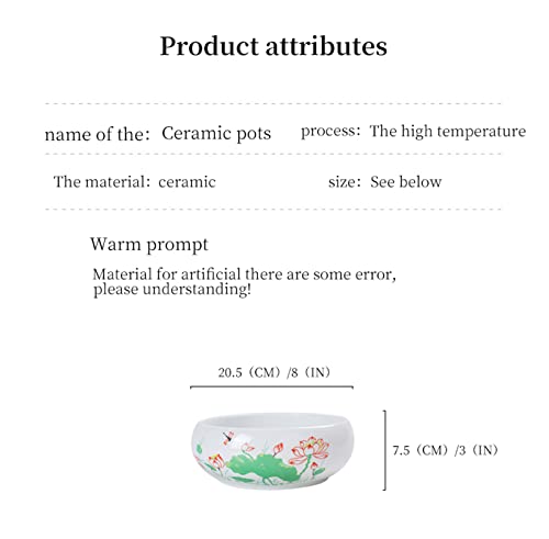 Nautance Beautiful 8-inch Ceramic Pot for Succulents and Indoor Plants,Planters for Succulents, Flower Pots for Your Home Decor or Office