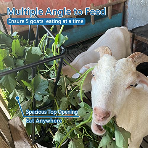 QVQE Hay Feeder Goat, 18 Gallon Multiple Sided Goat Hay Rack, Heavy Duty Iron Wall Hay Rack for Sheep with Detachable Grain Tray, Effortless Installation in Farm, Yield… (2 in 1)