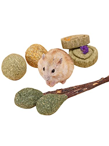 QWINEE 6pcs Hamster Chew Toy Set Small Animal Chewing Straw Cakes Balls and Lollipops for Rabbits Gerbils Rats Chinchillas Multicolor One Size