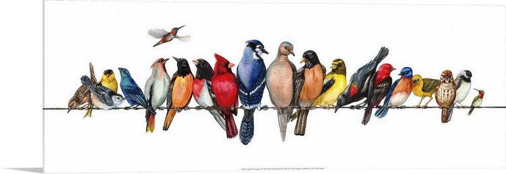 GREATBIGCANVAS Large Bird Menagerie Metal Wall Art Print, Bird Home Decor Artwork, 36"x12"