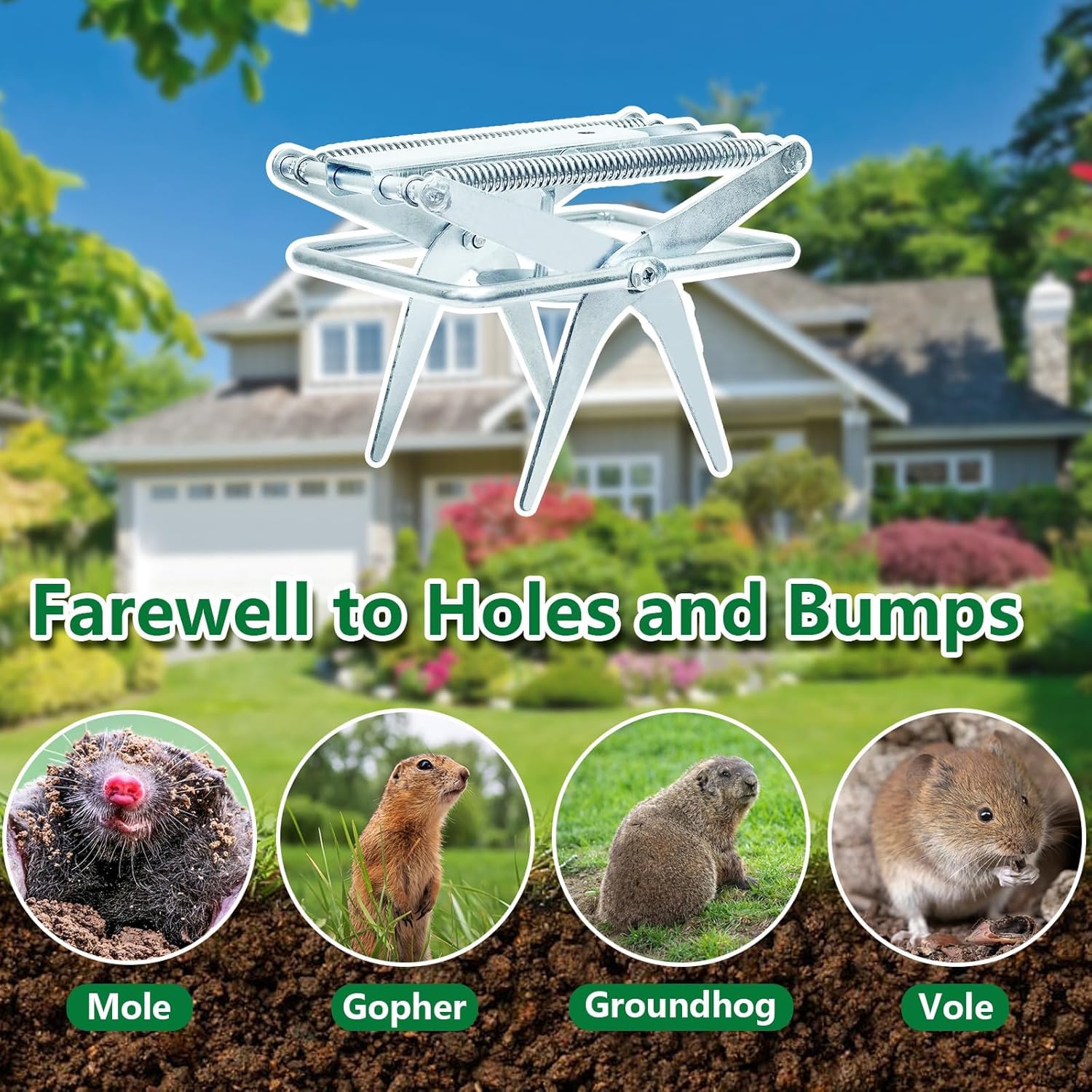 Simfelice Mole Trap Heavy Duty Scissor Mole Trap for Lawns Galvanized Steel Reusable Mole Traps That Work Best Mole and Gopher Killer Easy One-Step Setup