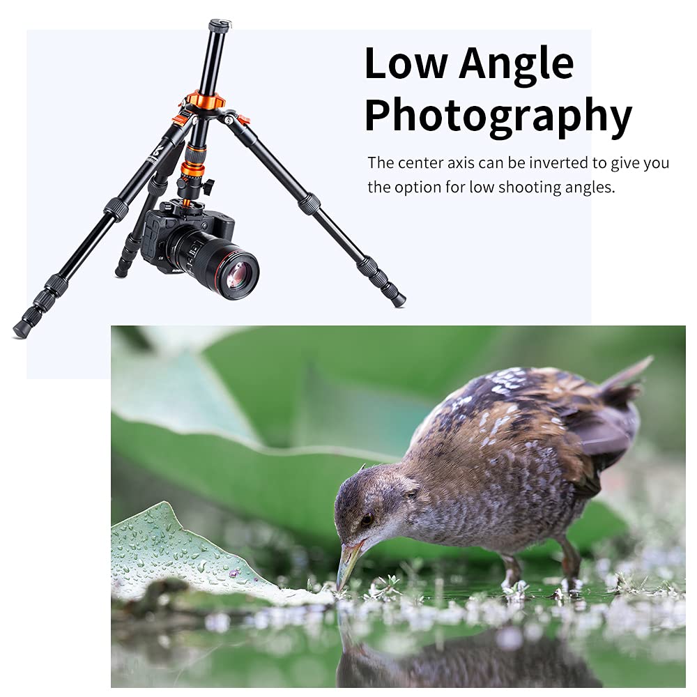 K&F Concept Camera Tripods,51 inch Lightweight Compact Tripod with 360 Degree Ball Head,Quick Release Plate,Detachable Monopod 8KG Load Capacity for SLR DSLR Camera C225A0+BH-25 (SA225M1)
