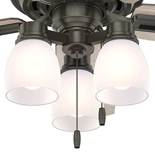 Hunter Fan Company 50273 Donegan Ceiling Fan, 52, Noble Bronze Finish