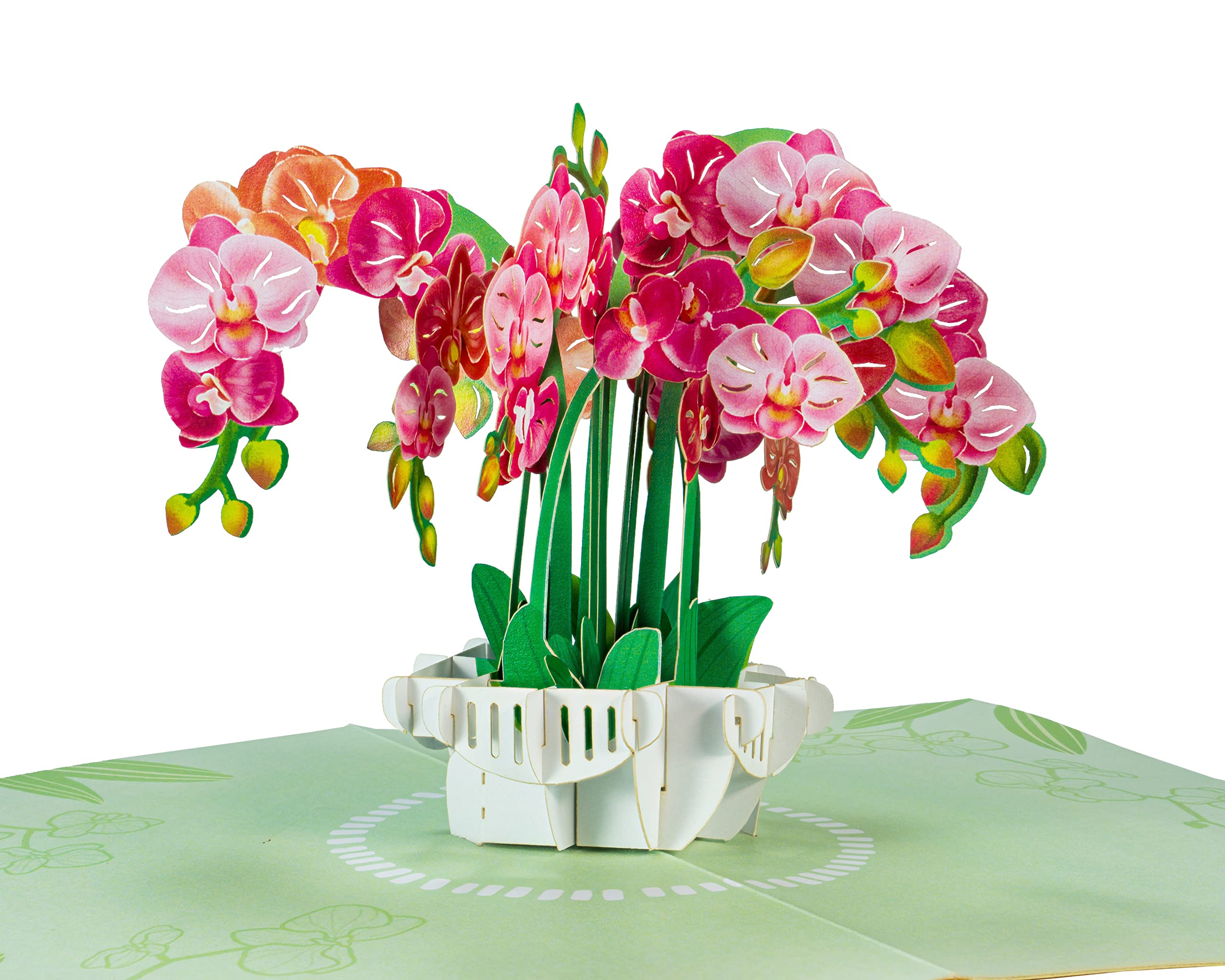 WOWPAPERART Orchid Flower - 3D Pop Up Greeting Card For All Occasions - Love, Birthday, Christmas - Blank Inside for Personalized - Thick Envelope - 5x7 In