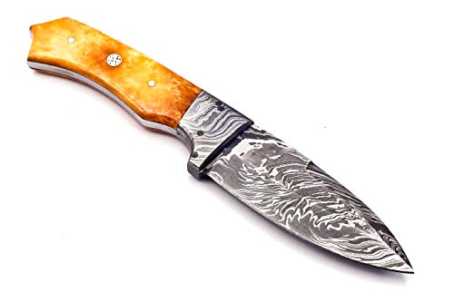 Nooraki SK-REG 44 Custom Handmade Damascus Steel Knife, Hunting knife, Camping knife, Survival Knife, Coloured Bone Handle, Full Tang with Leather Sheath