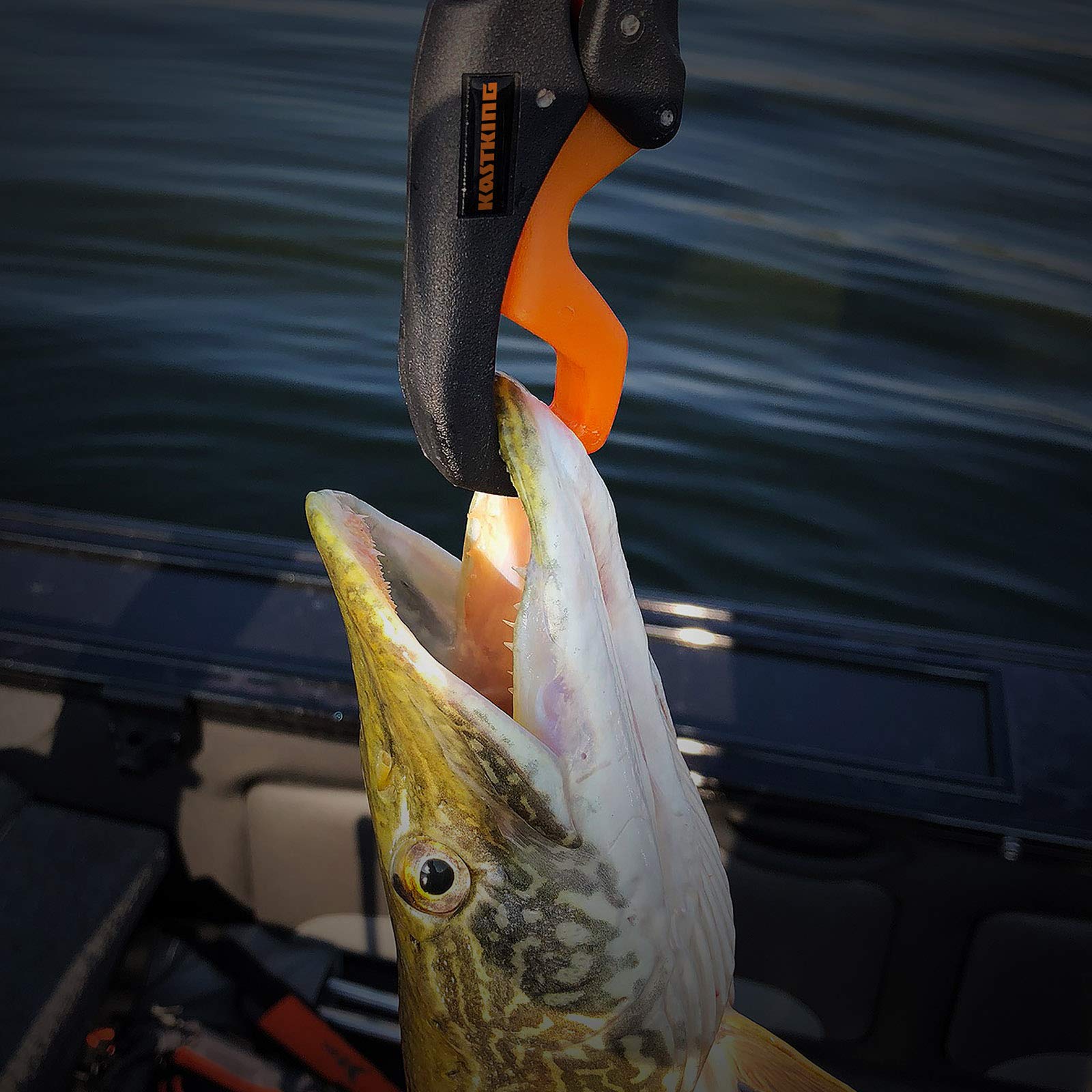 KastKing Fish Scale with Floating Lip Gripper, Water Resistant, Dual Mode β 110 LBS/50 Kg, Light and Strong ABS Frame, Non-Slip Handle, Retractable 38β Tape Measure and Floating Lip Gripper Combo