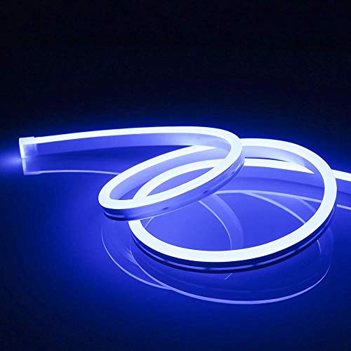iNextStation Blue 16.4ft Neon LED Strip Lights, Flexible & Waterproof, Cuttable & Dimmable, IP65, 600 SMD LEDs, 12V Direct Current, Suitable for Indoor and Outdoor Use