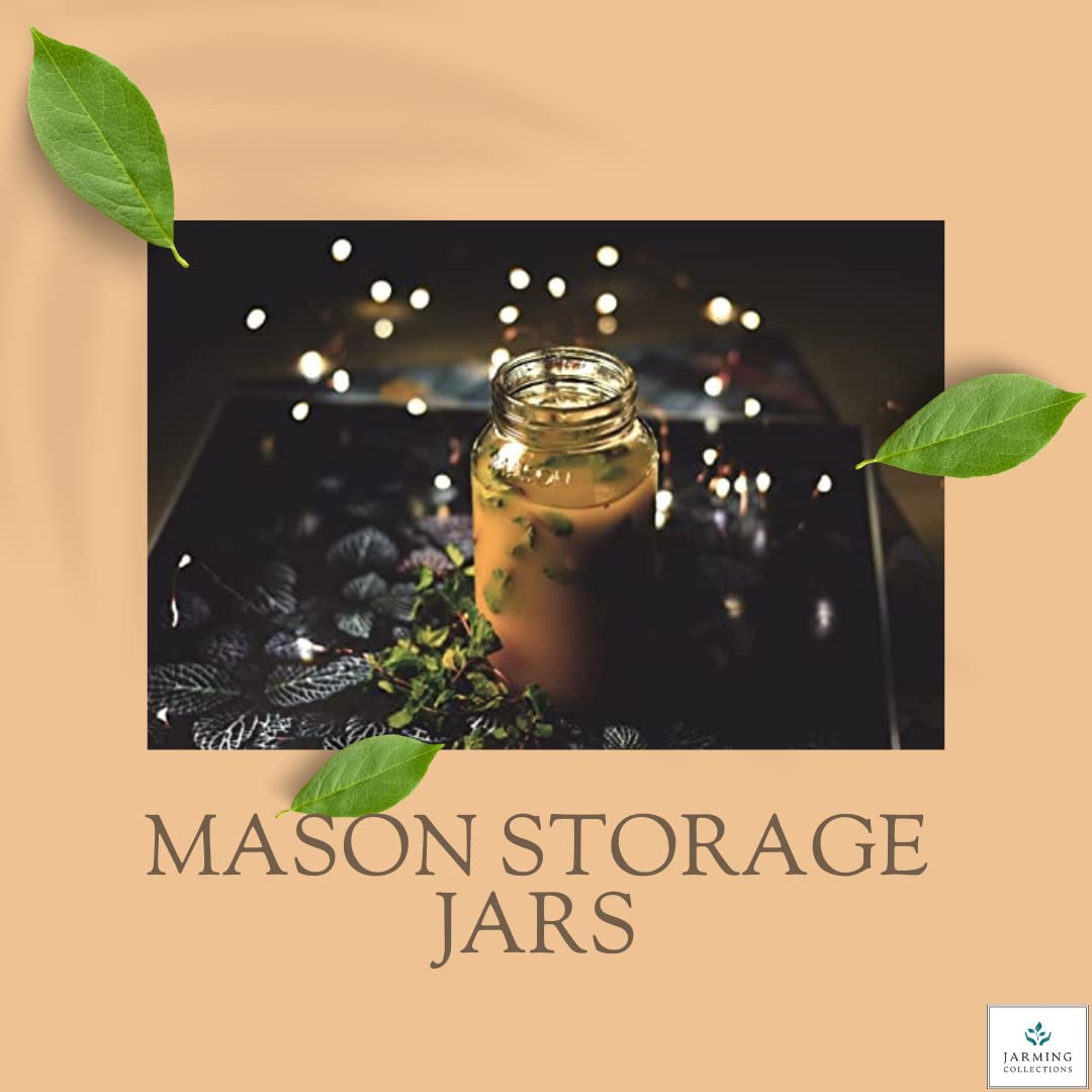 Jarming Collections Glass Regular Mouth 24 oz Mason Jars with Lids & Bands - BPA Free Plastic Storage Lids - Made in USA - 24oz Mason Jars Regular Mouth 24 oz with Lids - Set of 2