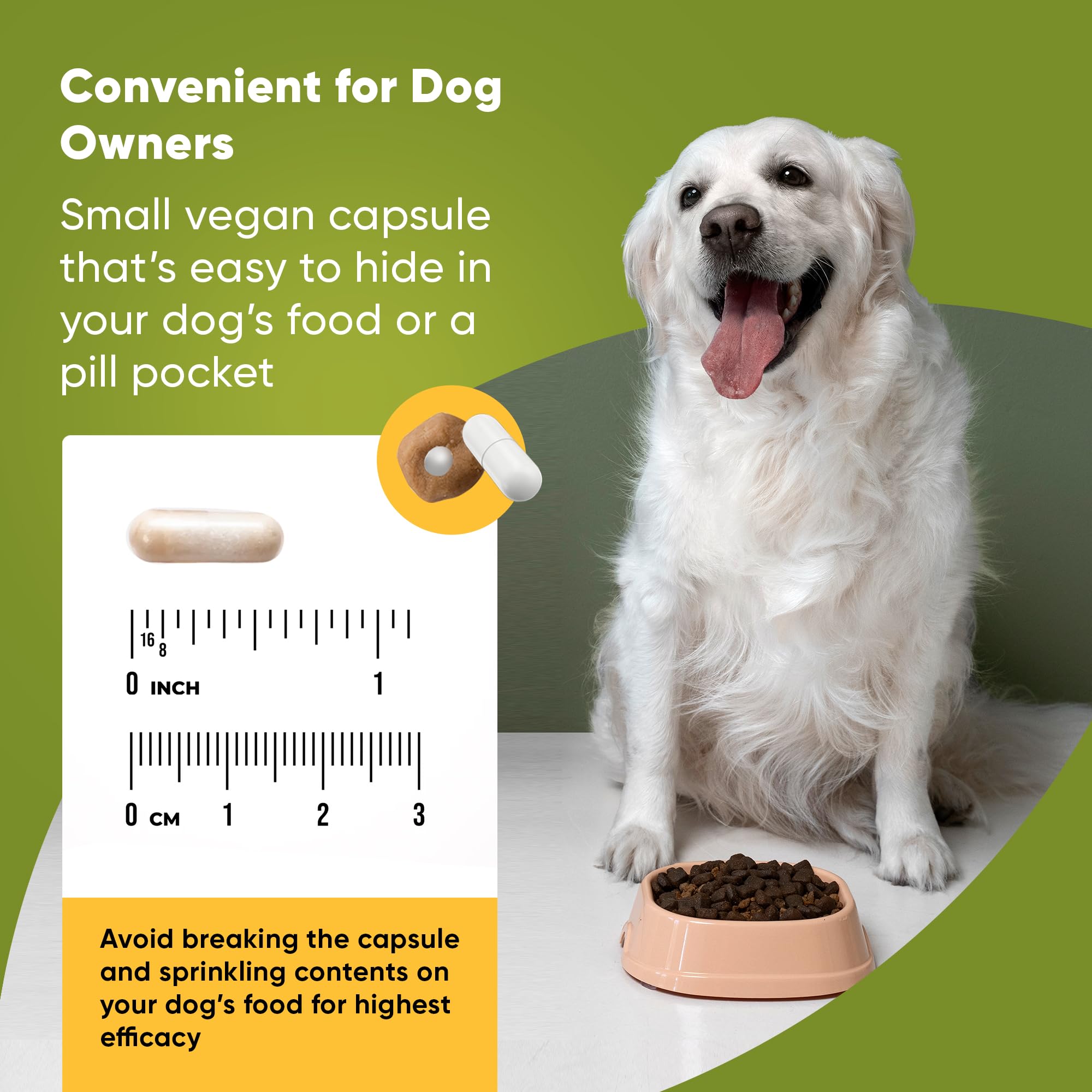 Rooted Owl Joint and Muscle Health - Hip and Joint Supplement for Dogs with UC-II Type II Collagen and L-Carnitine - Medium and Large Dog Joint Supplement - 30/ct