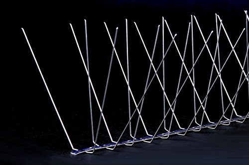 Nixalite Pigeon Spike Stainless Steel Bird Spikes (10 Ft, 5-2 Ft. Strips)