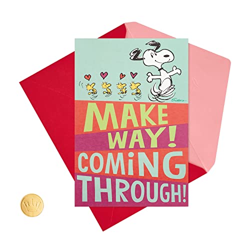 Hallmark Peanuts Valentine's Day Pop Up Card (Snoopy and Woodstocks)