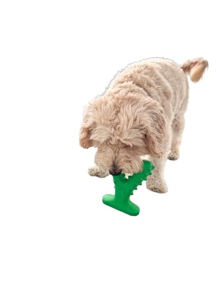 SINCREX USA Dog Toothbrush Dental Chew Cactus Toy - Teeth Cleaning, Teething Aid - Soft, Flexible, and Durable Rubber Toy for Medium and Small Breeds
