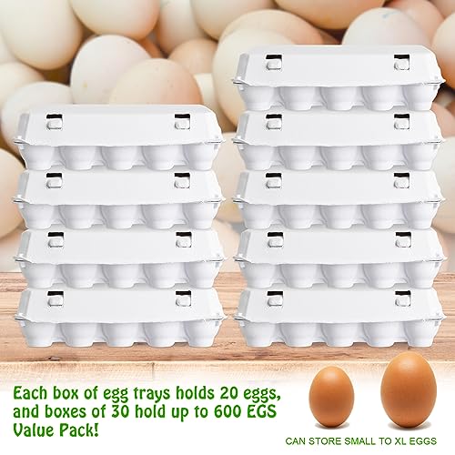 Hushee 30 Pack Empty Egg Cartons Bulk Paper Pulp Egg Cartons Blank Cardboard Egg Container Chicken Eggs Storage Display Tray Holds 20 Eggs for Egg Storage Beer Ball Game