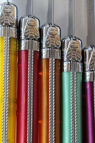 Laguiole Rainbow Platine Flatware in Presentation Box (Set of 24)