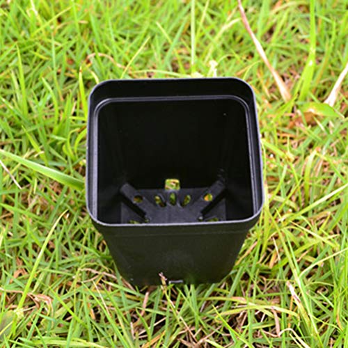 NUOBESTY 2 Inch Black Square Flower Pots Small Plastic Plant Pots 100PCS Square Flower Plant Pots Mini Succulent Pot for Cactus Bonsai