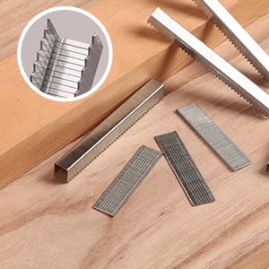 SITLDY Heavy Duty T50 Staples 5400-Count 5 Sizes Includes: 5/16",3/8",1/2",9/16" Staples+5/8" Brad Nails, 20 Gauge Galvanized Assorted Size Project Pack