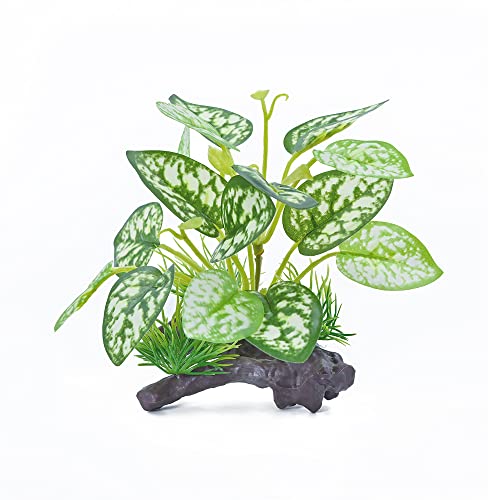 MRTIOO Reptile Artificial Plants, Terrarium Plants Decorations Supplies, Rainforest Ground Plant, Amphibian Habitat Hideout Tank Accessories (E)