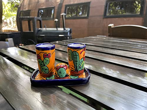 MEXTEQUIL - Authentic Mexican Talavera Tequila Shot Glasse with Tray and Salt Shaker - 2 Shots, 4pieces - Giffable - Artisanal colorful hand-painted (Cactus)